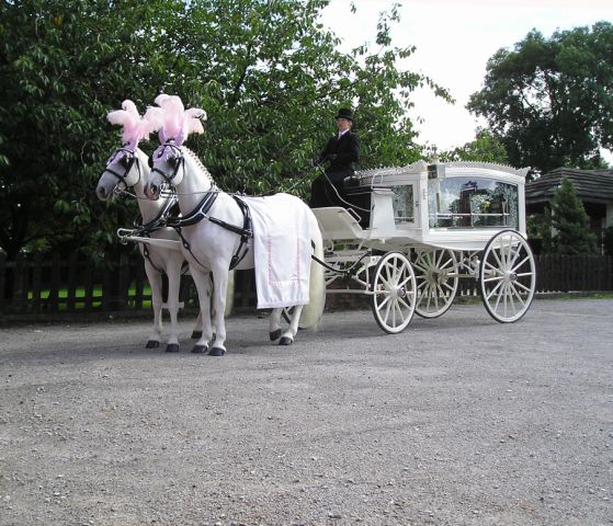 Gallery - Marc Stephens Funeral Services